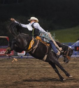Photos: Steamboat Springs Pro Rodeo brings the bucks | SteamboatToday.com